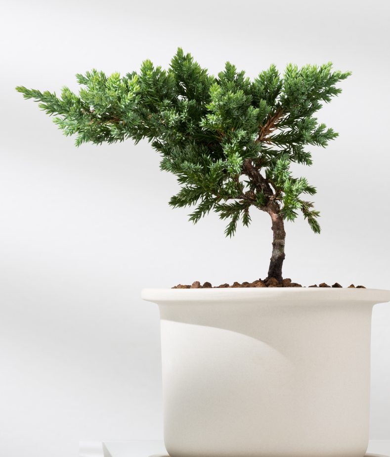 Programs Offered This Month - Asbury Woods