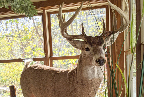 Programs Offered This Month - Asbury Woods