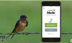 Self-Guided Activities - Asbury Woods