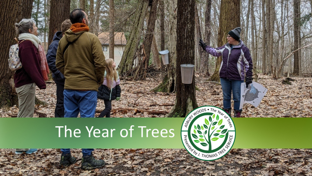 Yearly Themes - Asbury Woods