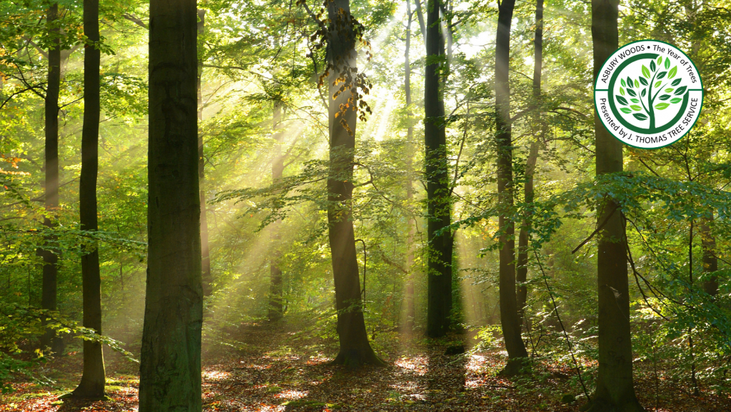 Programs Offered This Month - Asbury Woods