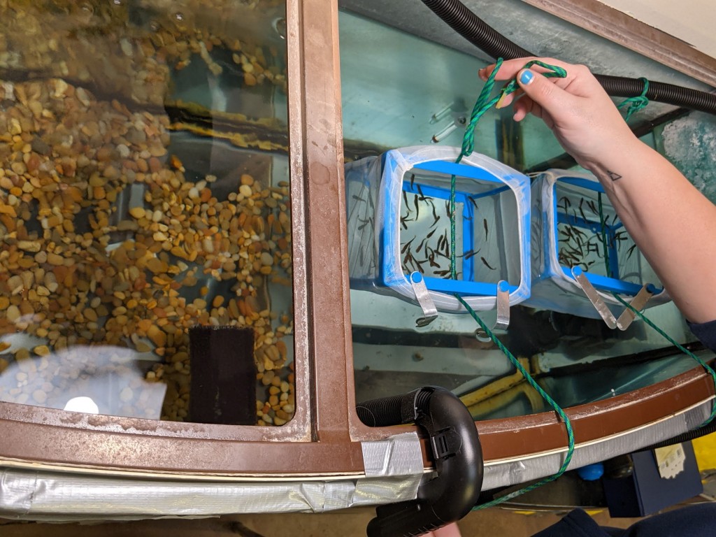 Trout in the Classroom 2023 - Asbury Woods