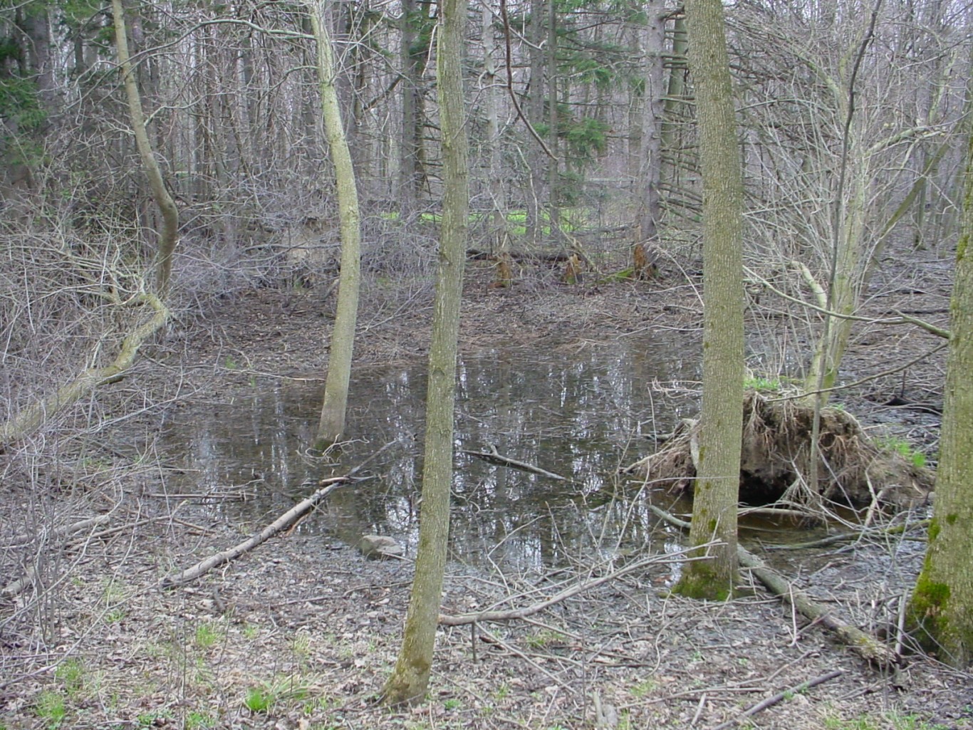 Programs Offered This Month - Asbury Woods